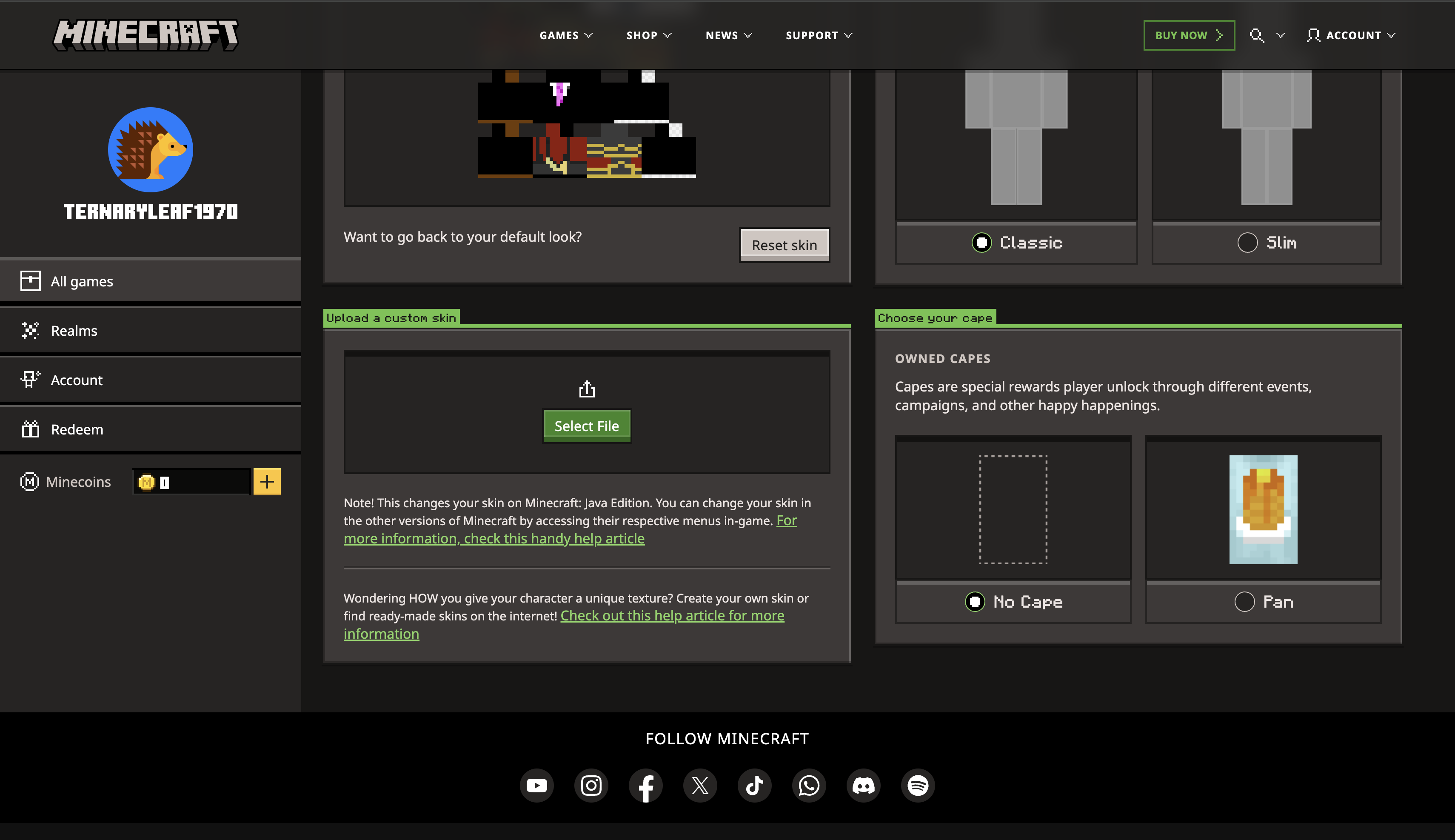 [MC-304272] I redeemed a code for the copper cape and i didn't get the cape